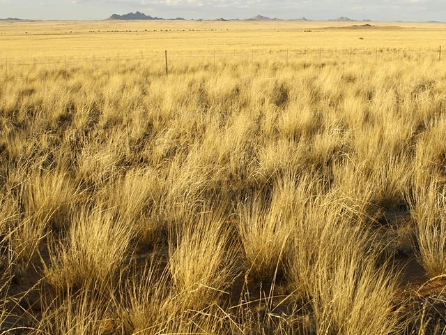 North Pole (Rudolph the Red-Nosed Reindeer: The Movie) (Kiryu2012's ...