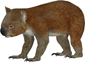 Giant koala (SciiFii) | Novum Terram Wiki | Fandom