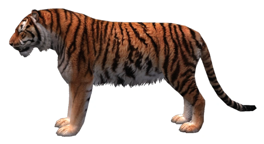 Caspian tiger (Project Apex) | Novum Terram Wiki | Fandom