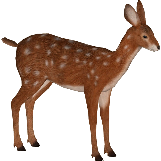 Common rabbuck (SciiFii) | Novum Terram Wiki | Fandom