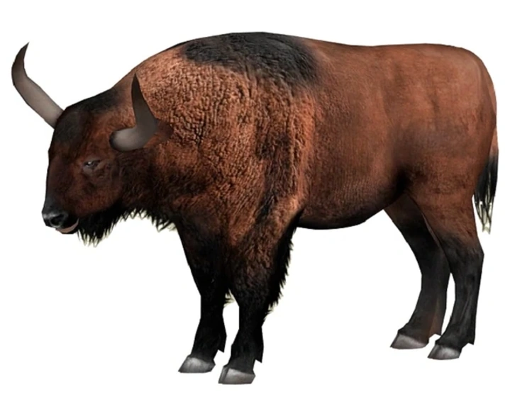 Carpathian wisent (Project Apex) | Novum Terram Wiki | Fandom