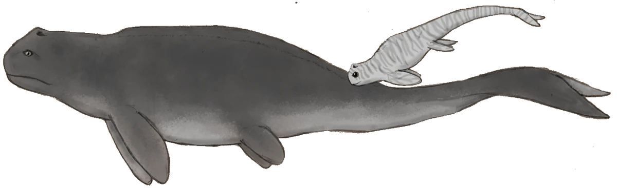 Marine Dylanus | Novum Terram Wiki | Fandom