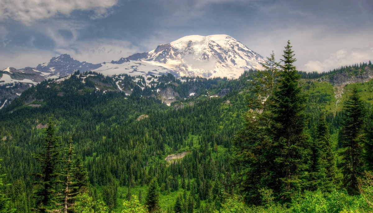 Appalachian Paradise (Pludora) | Novum Terram Wiki | Fandom