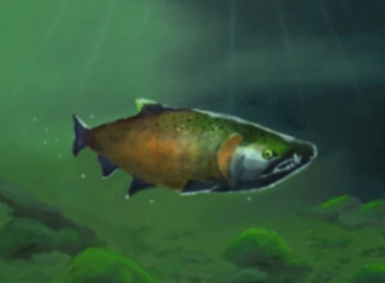 Sabertooth salmon (SciiFii) | Novum Terram Wiki | Fandom