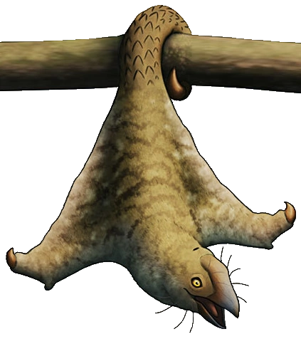 Cryptic flywhale (SciiFii) | Novum Terram Wiki | Fandom