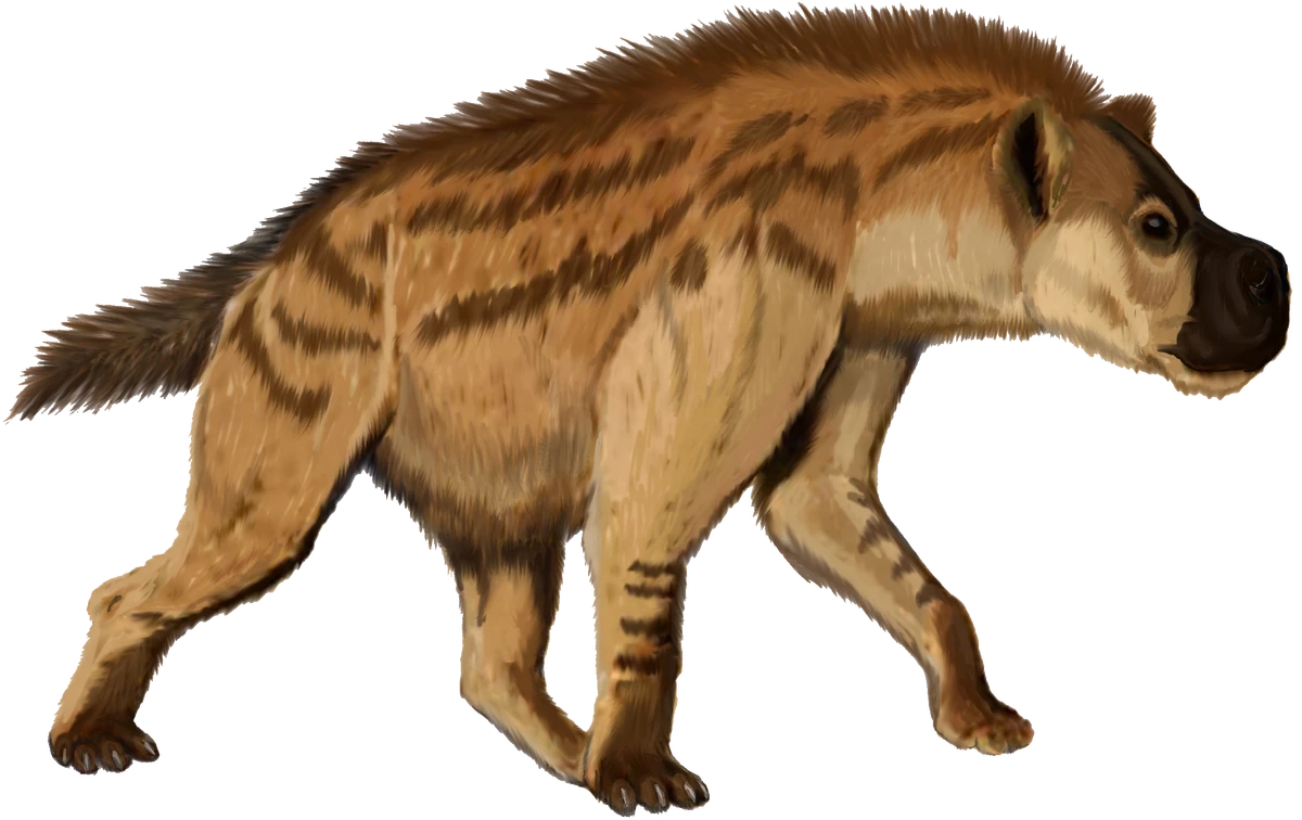 Dinocrocuta (SciiFii) | Novum Terram Wiki | Fandom