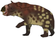 Marsupial Panda | Novum Terram Wiki | Fandom