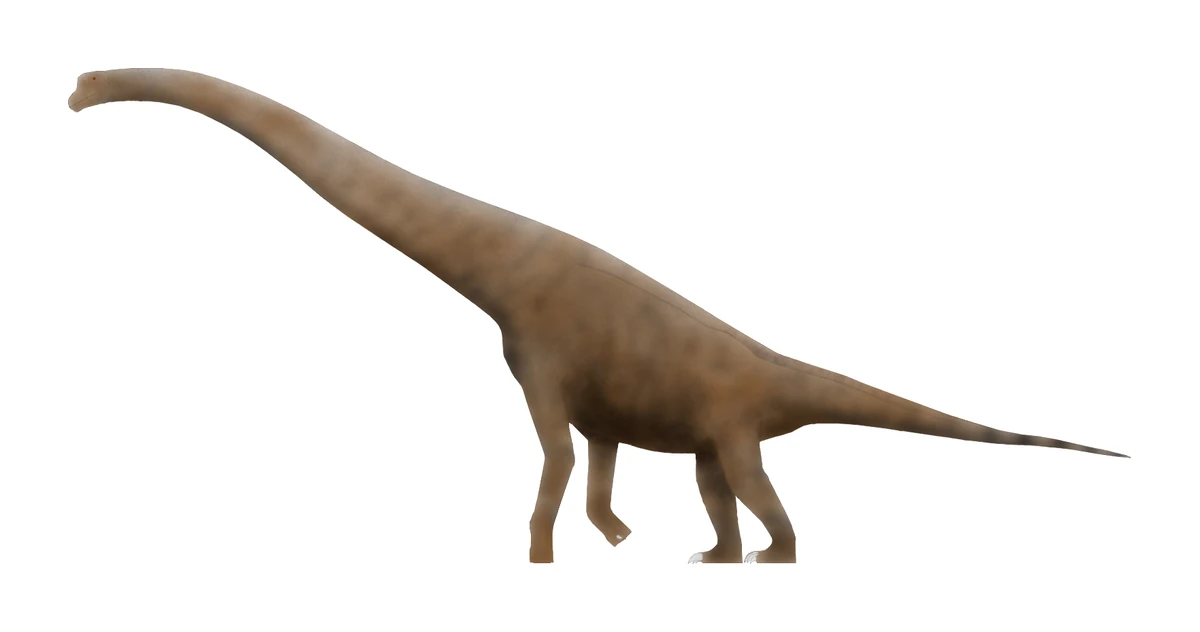 Cedarosaurus | Novum Terram Wiki | Fandom