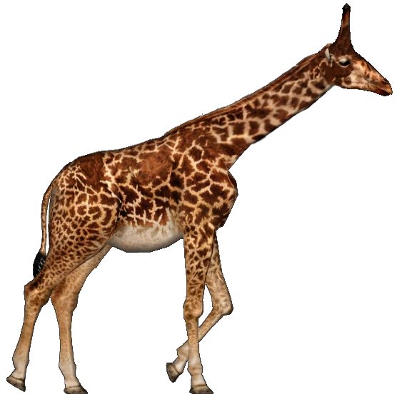 Honanotherium (SciiFii) | Novum Terram Wiki | Fandom