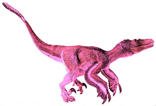 Sapient Velociraptor | Novum Terram Wiki | Fandom