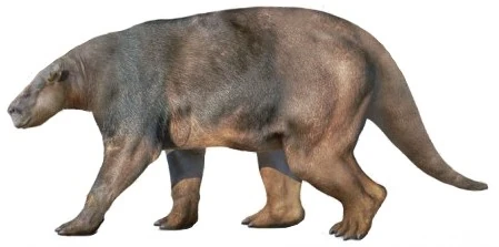 Barylambda (SciiFii) | Novum Terram Wiki | Fandom