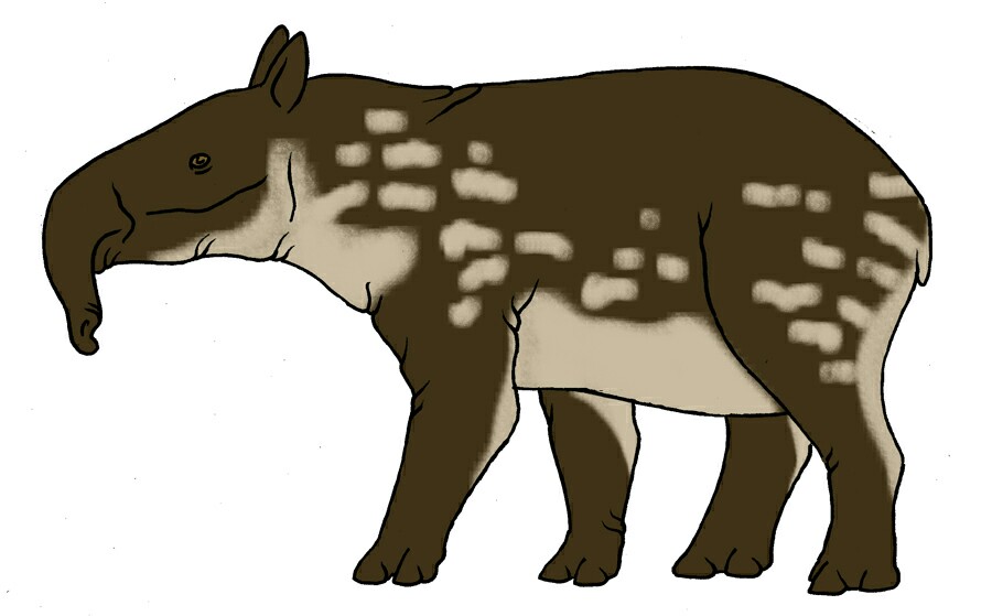 Madagascian Tapir Novum Terram Wiki Fandom
