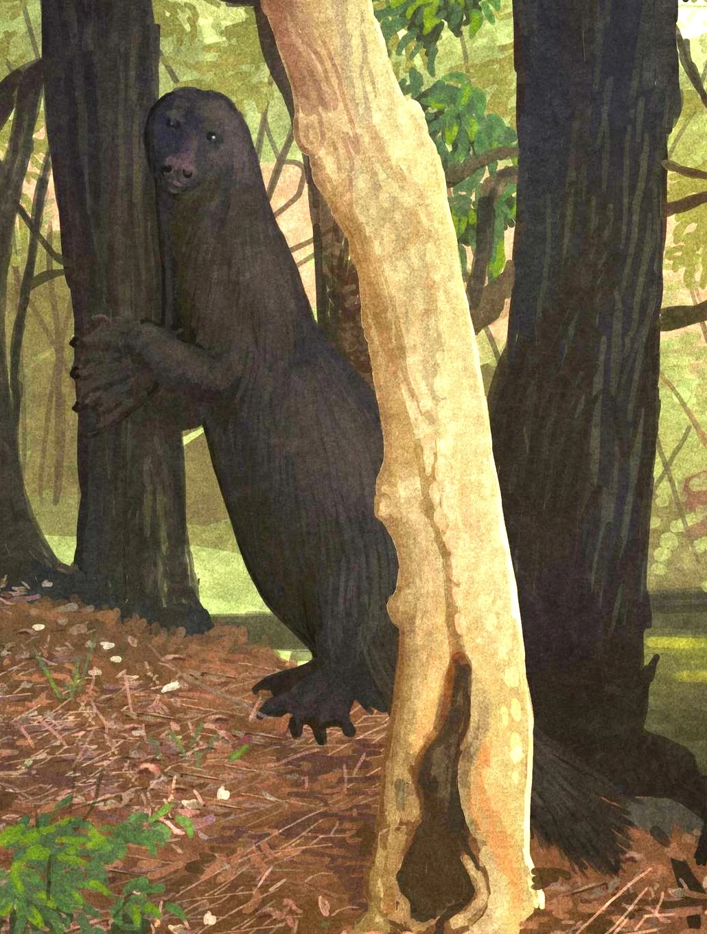 Bunyip (SciiFii) | Novum Terram Wiki | Fandom