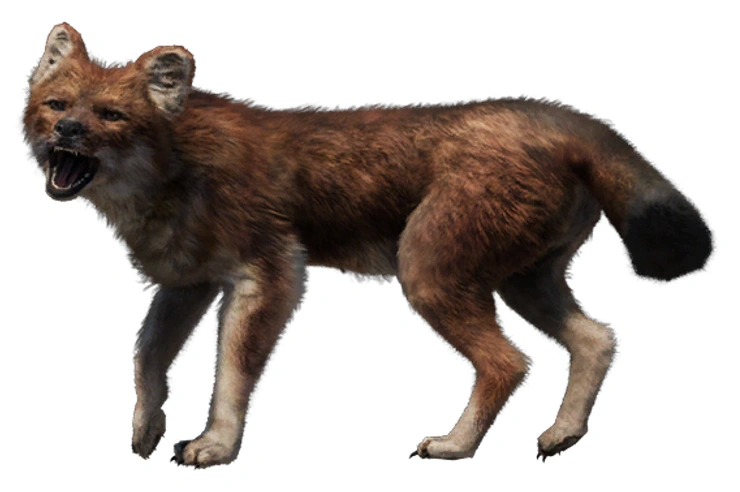 European dhole (Project Apex) | Novum Terram Wiki | Fandom