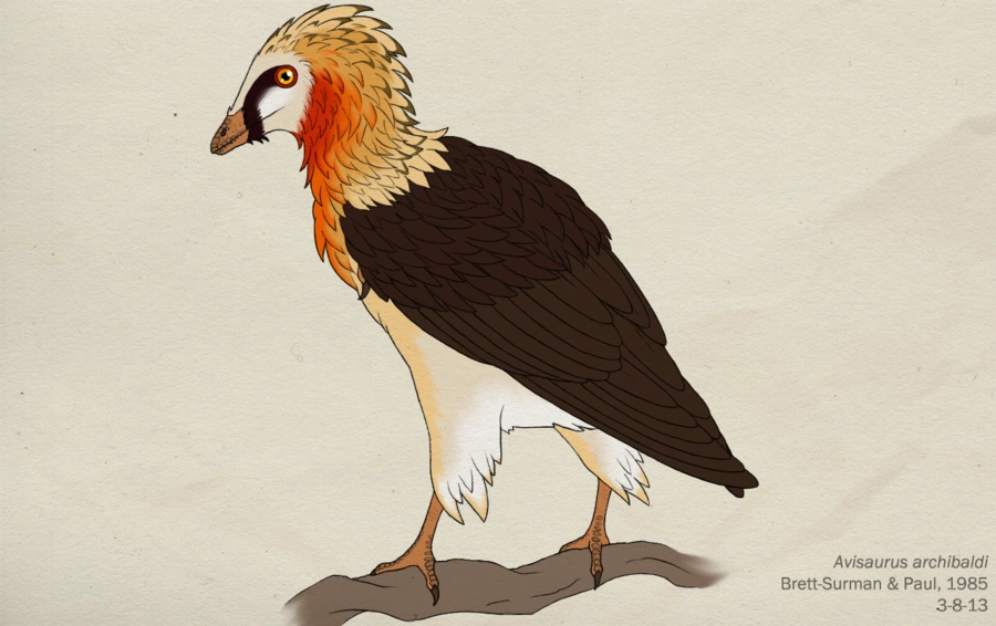 Raptor Protobird | Novum Terram Wiki | Fandom