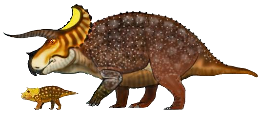 Triceratops V3 Sciifii Novum Terram Wiki Fandom