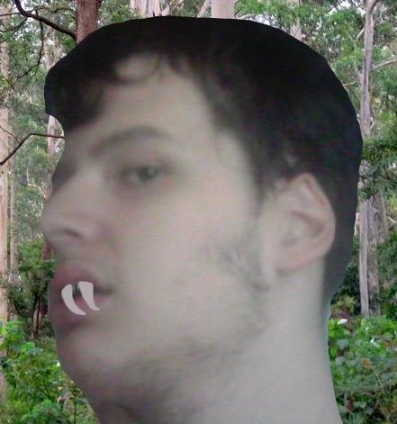 Saber-Toothed Dylanus | Novum Terram Wiki | Fandom