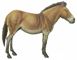 If the Pleistocene Extinction never happened (Africa) | Novum Terram ...