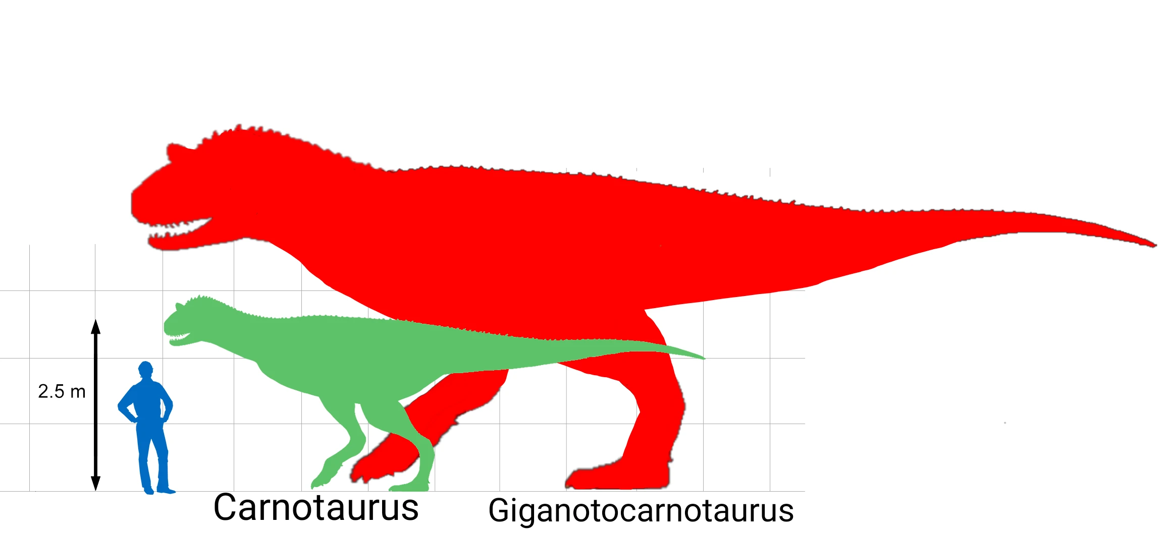 Carnotaurus Size Comparison