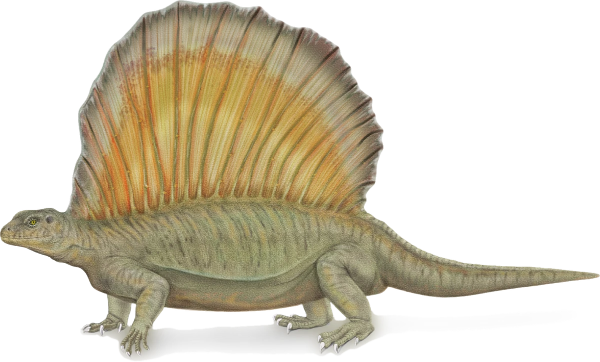 Edaphosaurus (SciiFii) | Novum Terram Wiki | Fandom
