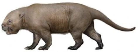 Stylinodon (SciiFii) | Novum Terram Wiki | Fandom