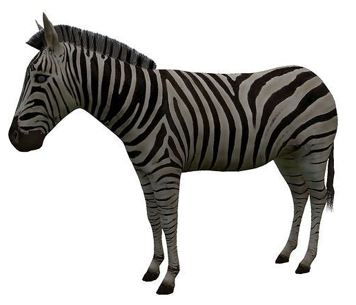 Dwarf zebra (SciiFii) | Novum Terram Wiki | Fandom