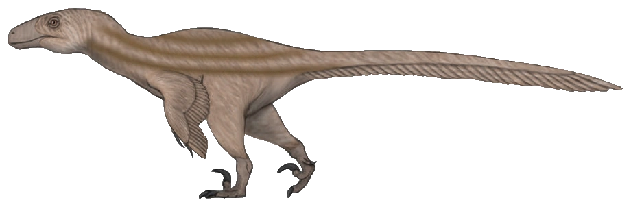 Venatosaurus impavidus (Skull Island Reimagined) | Novum Terram Wiki ...