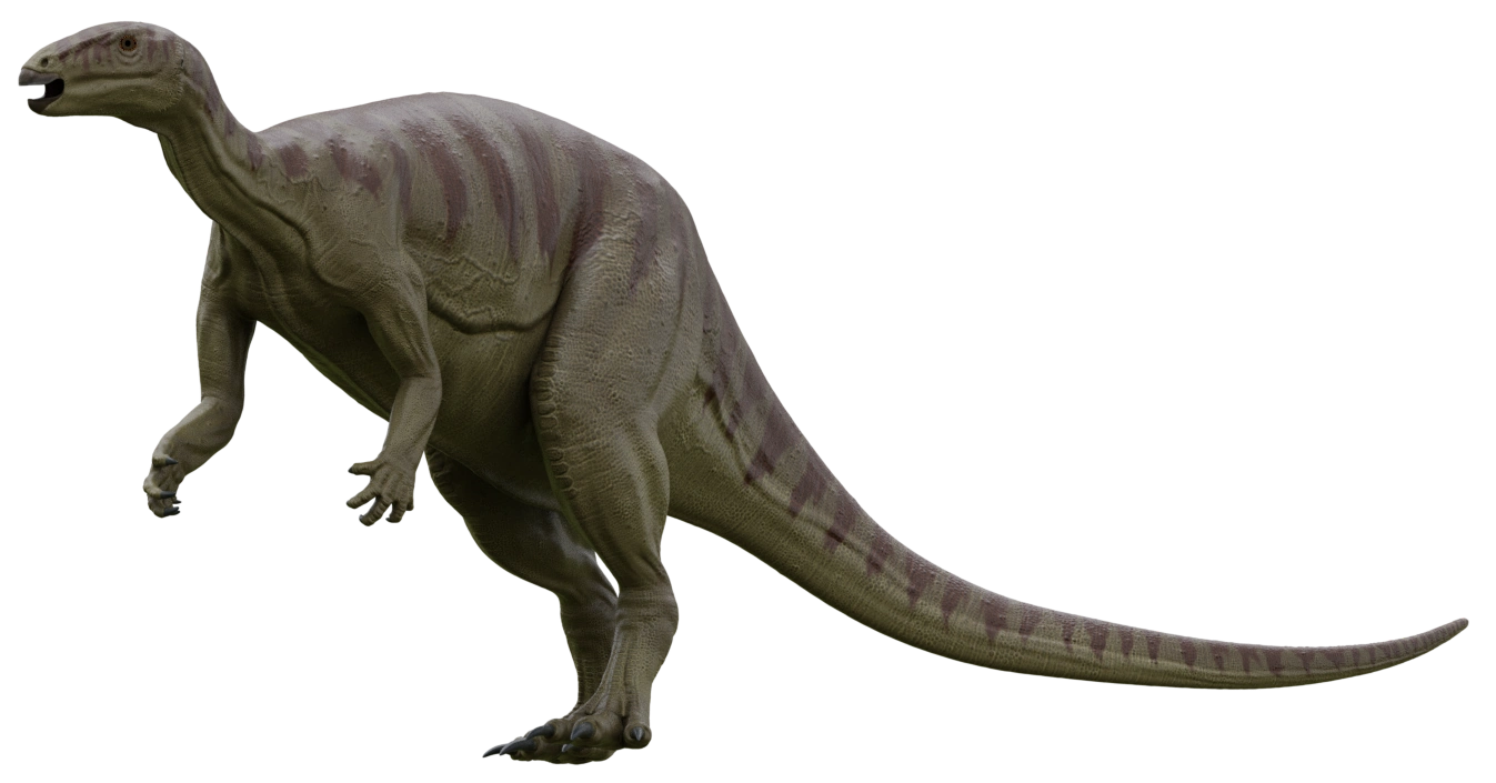 Camptosaurus Dinosaur