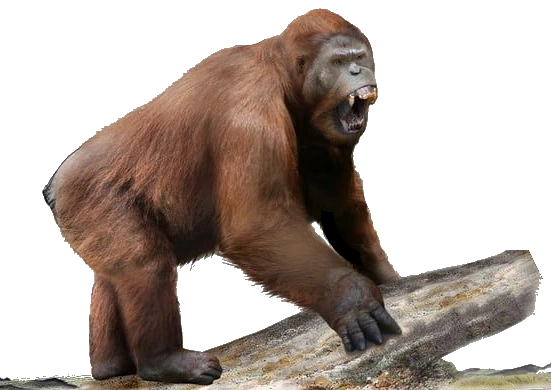 Gigantopithecus (SciiFii) | Novum Terram Wiki | Fandom