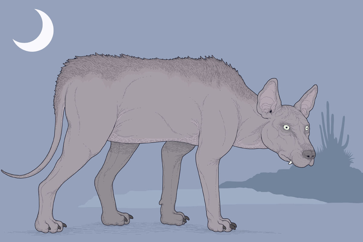 Chupacabra Sciifii Novum Terram Wiki Fandom