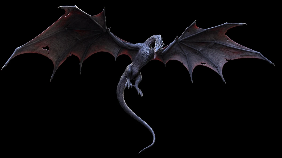 Dragon | Noweyr Wiki | Fandom