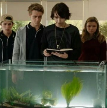 Finding Spell | Nowhere Boys Wiki | Fandom