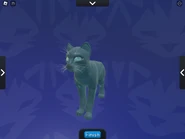 Npc Wcue Wiki | Fandom