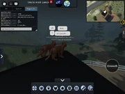 Amber | Npc Wcue Wiki | Fandom