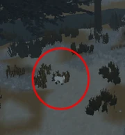 Screech | Npc Wcue Wiki | Fandom