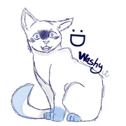 Washy | Npc Wcue Wiki | Fandom