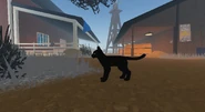 Hover | Npc Wcue Wiki | Fandom
