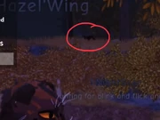 Fearless | Npc Wcue Wiki | Fandom