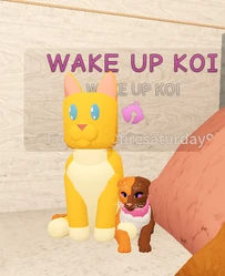 Plushie/koi | Npc Wcue Wiki | Fandom