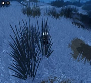 Spider | Npc Wcue Wiki | Fandom