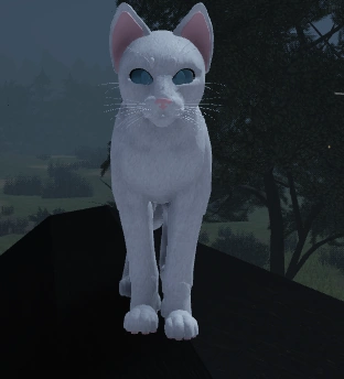 Nyx/Zephyr | Npc Wcue Wiki | Fandom