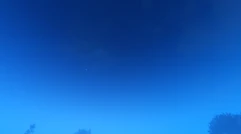 Shift-Tree | Npc Wcue Wiki | Fandom