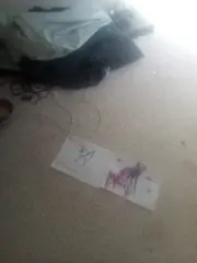 Laugher | Npc Wcue Wiki | Fandom