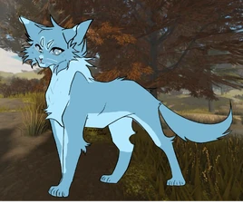 Rocket | Npc Wcue Wiki | Fandom