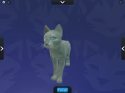 Rink | Npc Wcue Wiki | Fandom