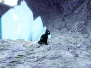 Moonstone Kid | Npc Wcue Wiki | Fandom