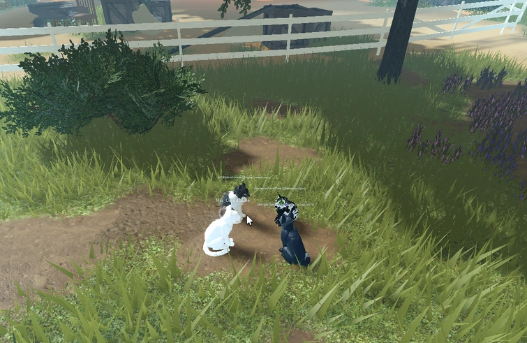 Truffle | Npc Wcue Wiki | Fandom