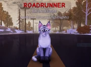 Roadrunner | Npc Wcue Wiki | Fandom