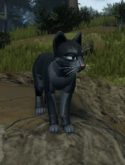 Treewalker | Npc Wcue Wiki | Fandom