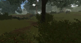 Treewalker | Npc Wcue Wiki | Fandom